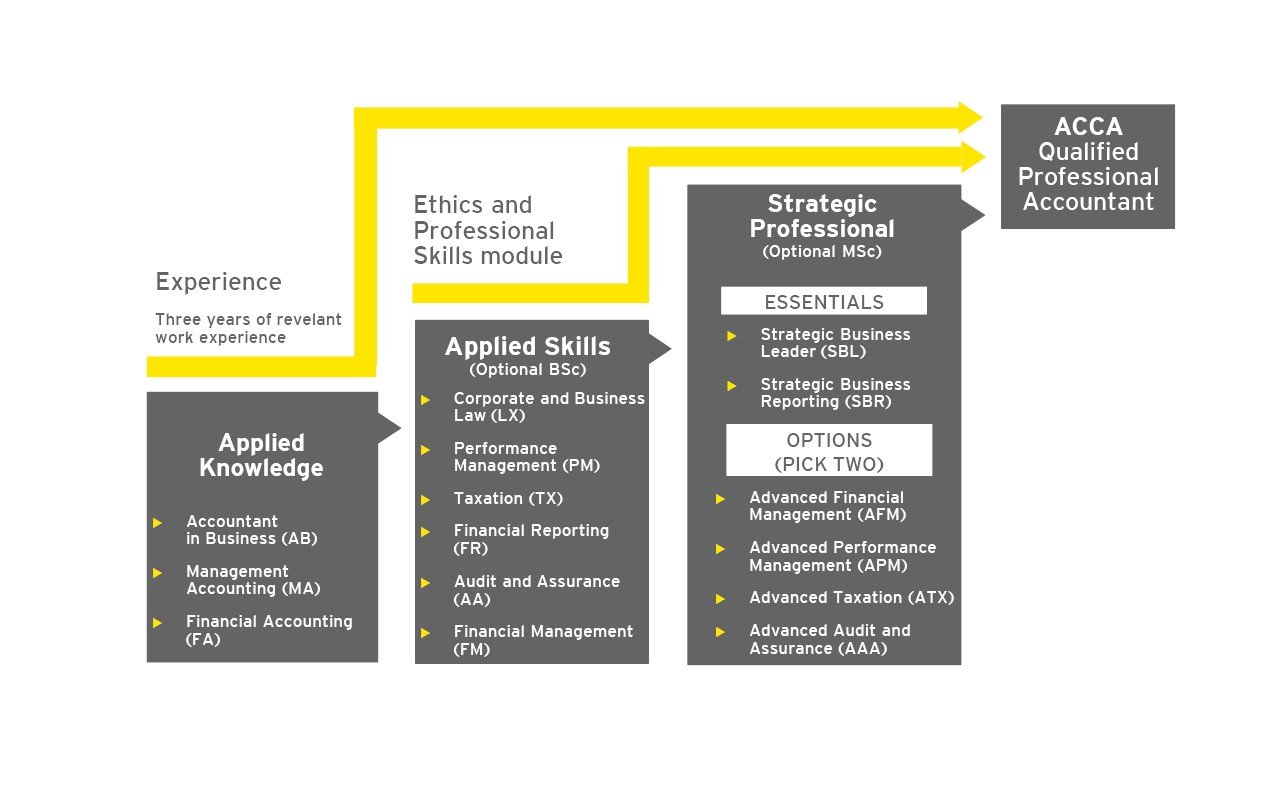 » ACCA – Strategic Professional Programme